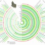Re-foresting: the potential for timber villages - Woodknowledge Wales