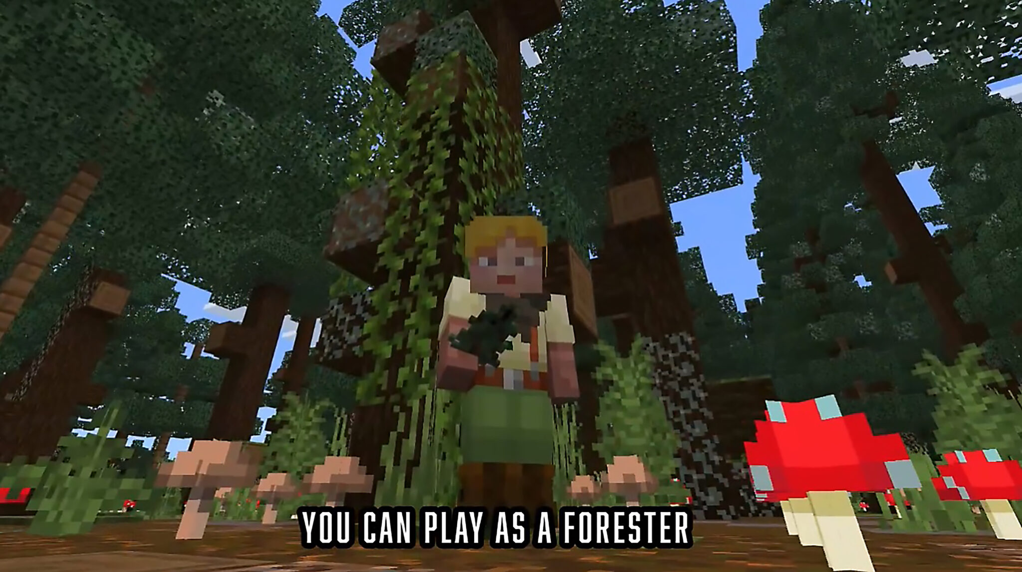 CALLING ALL MINECRAFT BUILDERS! - Woodknowledge Wales